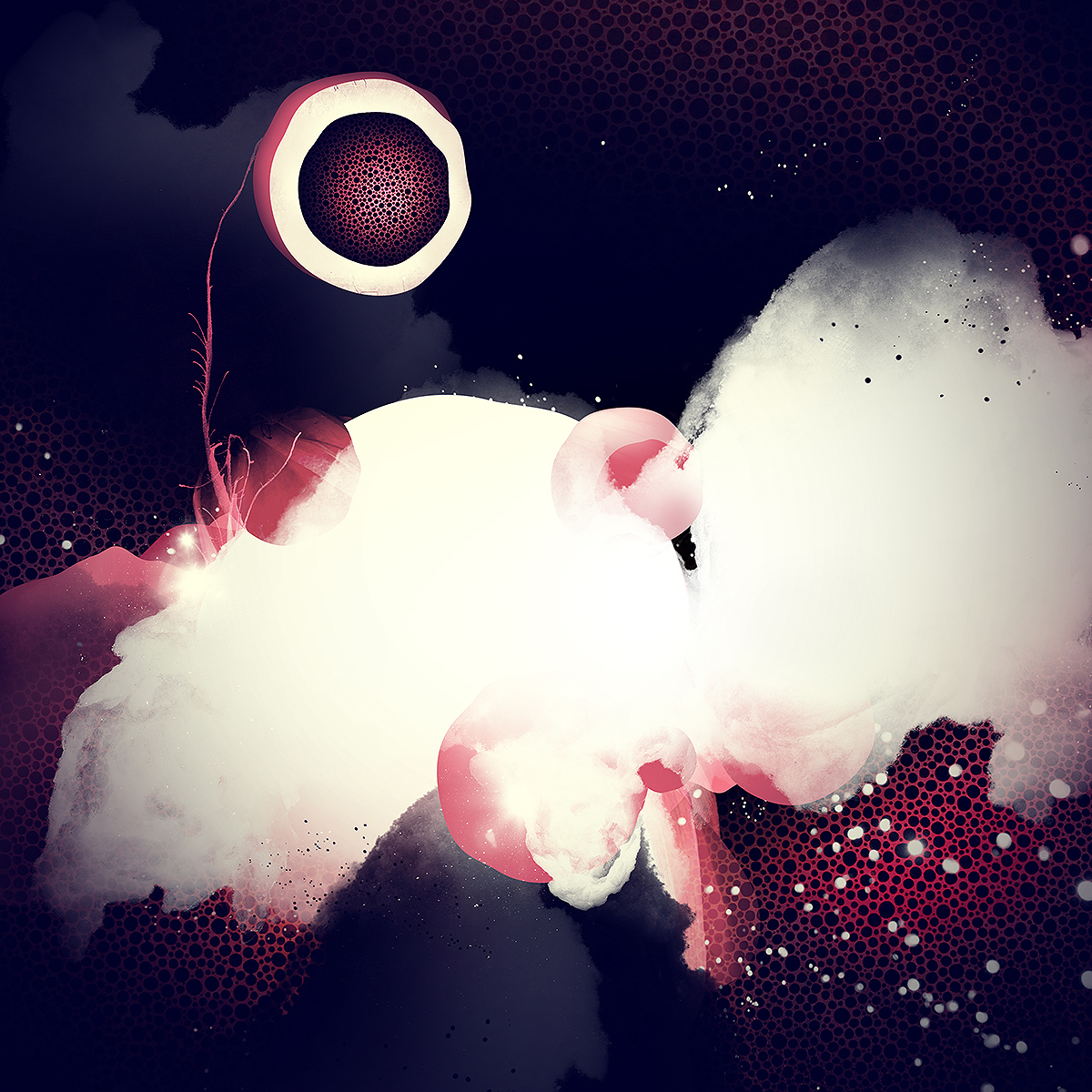 Forma Design - Art Direction – Graphic Design – Illustration